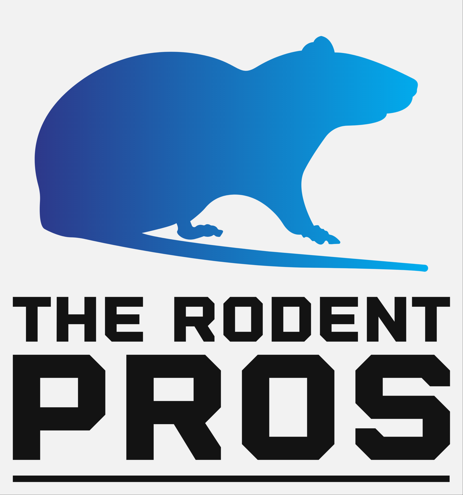 THE RODENT PROS - Updated December 2025 - 11 Photos - 1810 W Kennedy ...