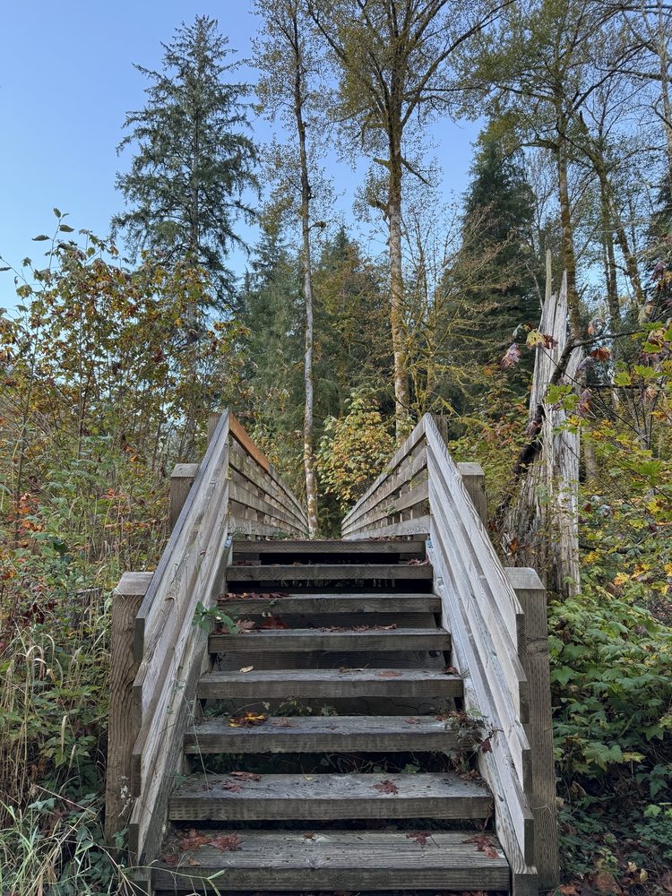 OXBOW LOOP TRAIL - Updated October 2024 - 13 Photos - North Bend ...
