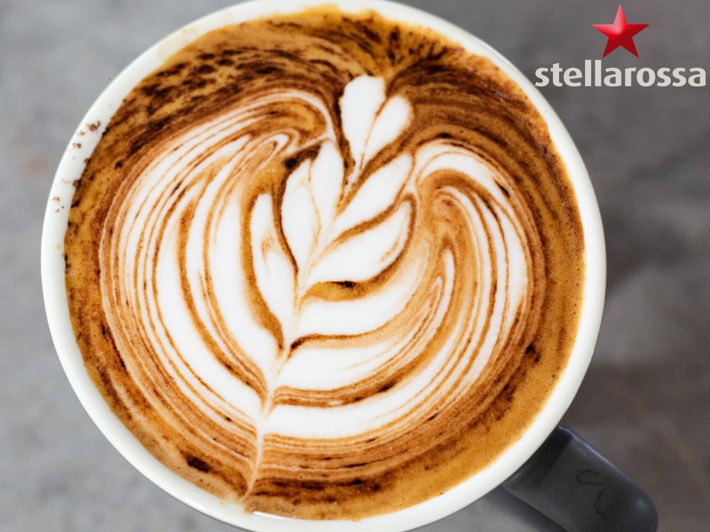 XXXXX - Updated March 2025 - 9 Sherwood Rd, Toowong Queensland ...