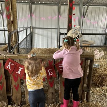 HUDDIN HOMESTEAD FUN FARM - Updated October 2025 - 45 Photos - 1666 ...