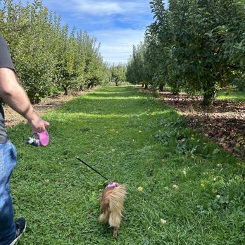 BARTON ORCHARDS - Updated August 2025 - 441 Photos & 378 Reviews - 63 ...