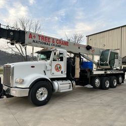 Best Tree Removal Services Near Me - October 2025: Find Nearby Tree ...