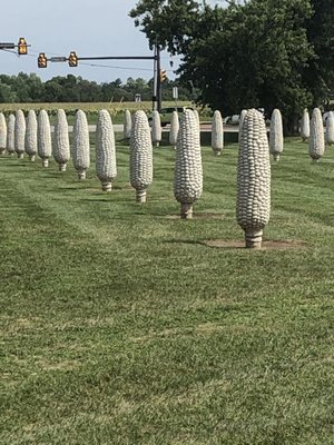 FIELD OF CORN SCULPTURE - 47 Photos & 28 Reviews - Public Art - 4995 ...