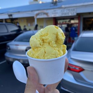 PUDGEE PANDA - Updated January 2025 - 29 Photos & 27 Reviews - 68-1820 ...