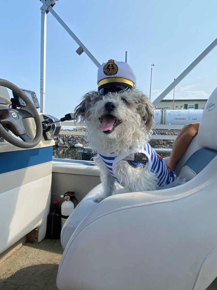 CAPTAIN NEMO BOAT RENTAL - Updated September 2024 - 90 Montgomery St ...