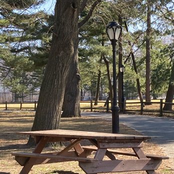 THE ARTHUR ROSS PINETUM - Updated April 2026 - 24 Photos - 86th St ...
