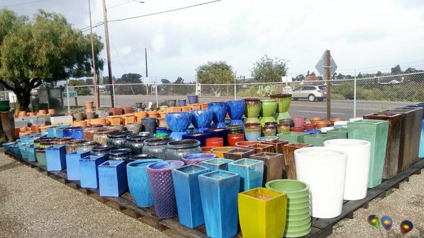 WHISPERING TREE NURSERY - 49 Photos & 22 Reviews - Nurseries ...