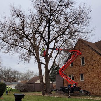 BROWN TREE SERVICE - Updated December 2025 - 50 Photos & 44 Reviews ...