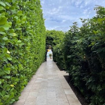 LIDO BAYSIDE GRILL - Updated August 2024 - 753 Photos & 508 Reviews ...