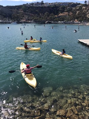 WESTWIND SAILING - 41 Photos & 65 Reviews - 34451 Ensenada Pl, Dana ...