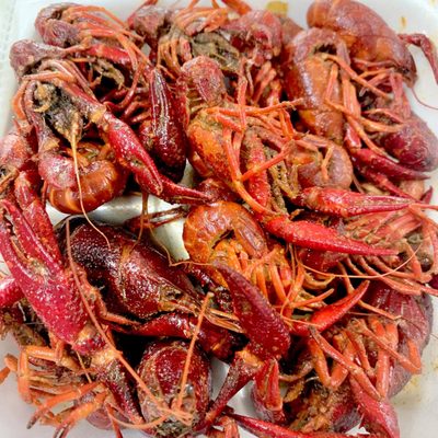 K ASIAN KITCHEN - Updated November 2025 - 50 Photos & 43 Reviews - 5540 ...