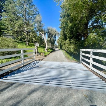 SABERCAT CREEK TRAIL - Updated October 2025 - 287 Photos & 24 Reviews ...