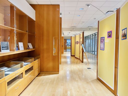 DR MARTIN LUTHER KING JR. LIBRARY - Updated January 2026 - 335 Photos ...