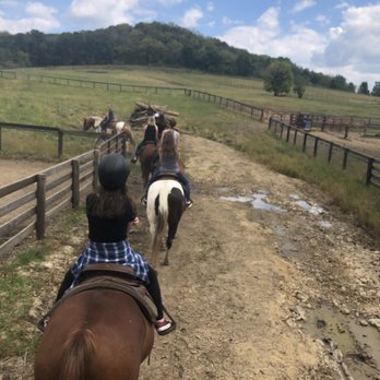 SHENANDOAH RIDING CENTER - Updated November 2025 - 49 Photos & 77 ...