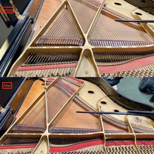 JON DELONG-PIANO TUNING & REPAIR - Updated June 2025 - Moss Beach ...