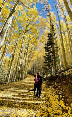 LOCKETT MEADOW - Updated October 2025 - 39 Photos - Flagstaff, Arizona ...