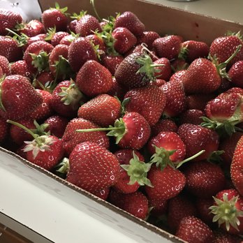 ROWAND’S FARM - TEMP. CLOSED - Updated October 2025 - 11 Photos & 13 ...