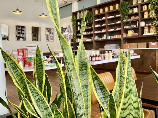 POPS CANTON - Updated December 2025 - 168 Photos & 166 Reviews - 130 E ...