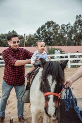 THE DINGLE FAMILY FARM AND STABLES - Updated December 2024 - 533 Photos ...