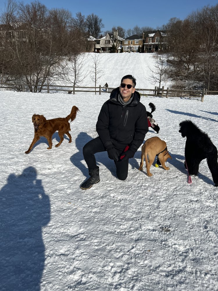 HAPPY PAWS - 11 Photos - Toronto, Ontario, Canada - Pet Boarding ...