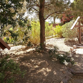 ST JUDE’S RANCH FOR CHILDREN - Updated December 2025 - 37 Photos - 100 ...