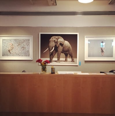 SWANN AUCTION GALLERIES - Updated January 2026 - 19 Reviews - 104 E ...