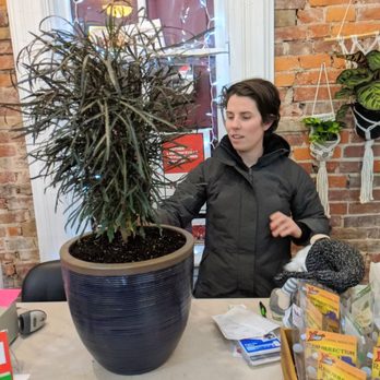 CITY GROWS - Updated December 2025 - 54 Photos & 30 Reviews - 5208 ...