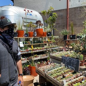 BERKELEY HORTICULTURAL NURSERY - 224 Photos & 192 Reviews - Nurseries ...