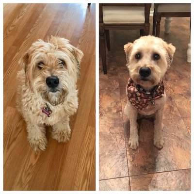 HOUND AROUND RESORT - Updated December 2025 - 29 Photos & 25 Reviews ...