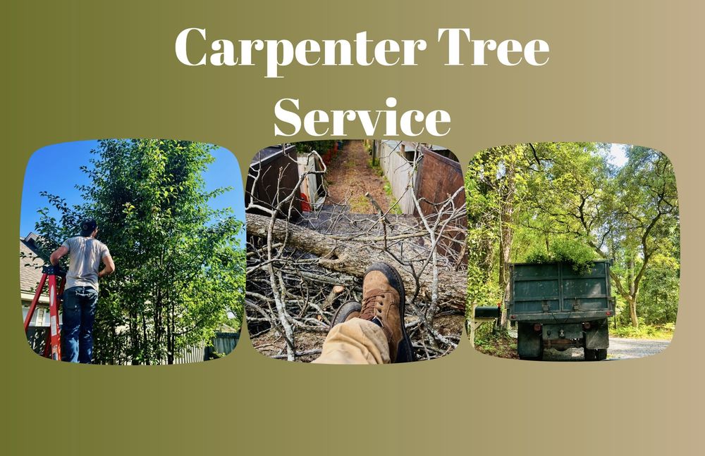 CARPENTER TREE SERVICE - Updated May 2025 - Request a Quote - 5320 ...
