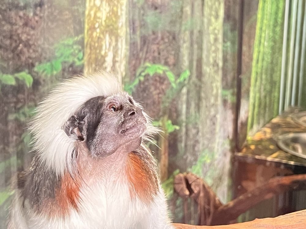 WILSTEM - Updated November 2024 - 323 Photos & 76 Reviews - 4229 W US ...