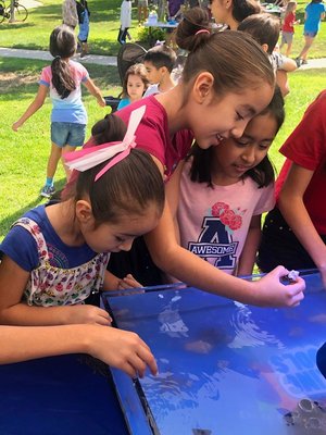 SAGE OAK CHARTER SCHOOLS - Updated December 2025 - 22 Photos & 24 ...