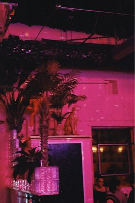 THE FLAMINGO BAR - Updated April 2025 - 62 Photos & 43 Reviews - 1855 ...