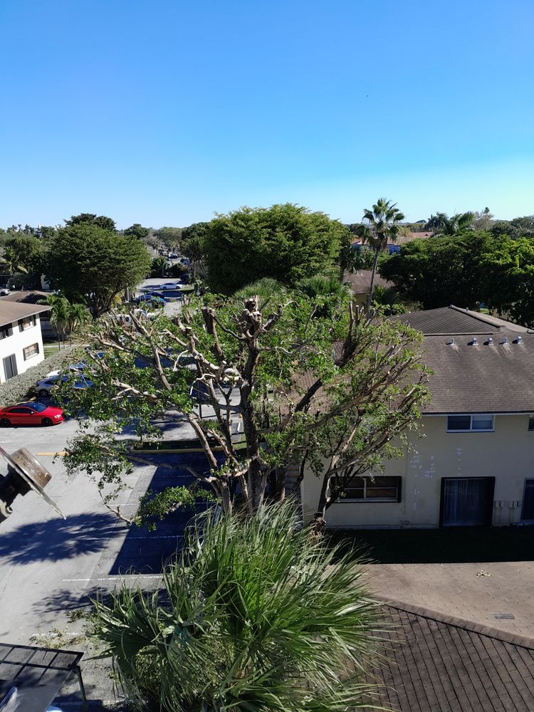 MASTER TREE AND LAWN SERVICE - Updated January 2025 - Request a Quote ...