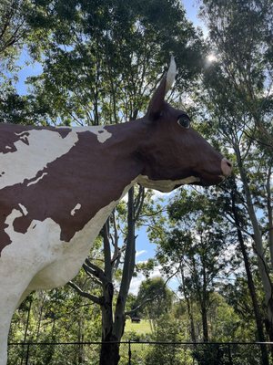 HIGHFIELDS PIONEER VILLAGE, MUSEUM & PARK - Wirraglen Rd, Highfields 73 ...