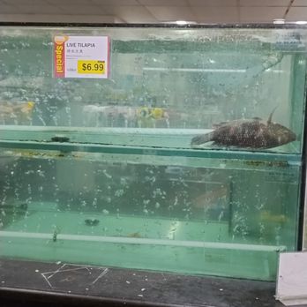 99 RANCH MARKET - Updated December 2025 - 778 Photos & 561 Reviews ...