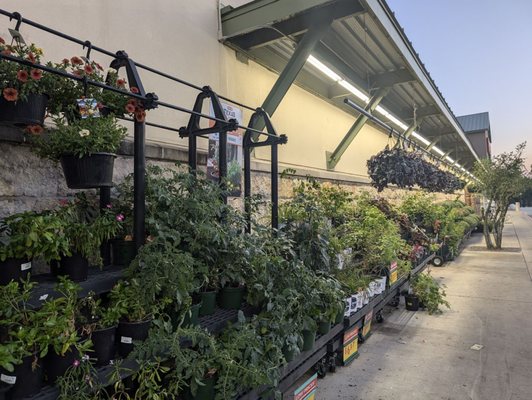 H-E-B PLUS - Updated January 2026 - 75 Photos & 99 Reviews - 11521 FM ...