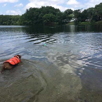 BUCKMASTER POND - Updated December 2025 - 12 Photos - 350 Pond St ...