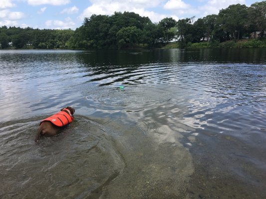 BUCKMASTER POND - Updated December 2025 - 12 Photos - 350 Pond St ...