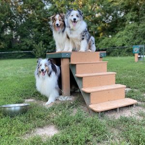 OAK GROVE AQUATIC CENTER - Updated October 2025 - 1300 SE 30th St, Oak ...