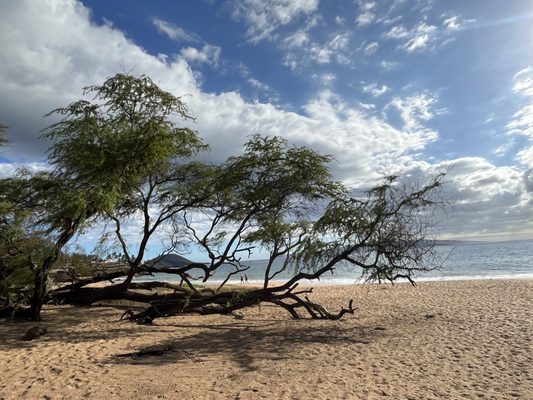 BIG BEACH IN MAKENA STATE PARK - Updated November 2024 - 382 Photos ...