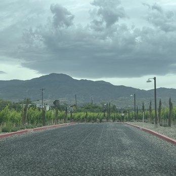 MERKIN VINEYARDS HILLTOP WINERY & TRATTORIA - Updated November 2024 ...