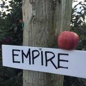 TERHUNE ORCHARDS - Updated October 2025 - 644 Photos & 400 Reviews ...