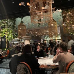 ILILI DC - Updated December 2025 - 2071 Photos & 691 Reviews - 100 ...