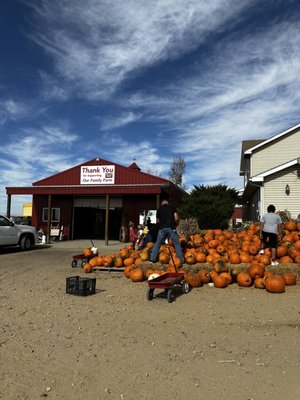 MILLER FARMS - Updated October 2025 - 97 Photos & 83 Reviews - 9040 Hwy ...
