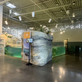 SOBELA OCEAN AQUARIUM - Updated November 2025 - 19 Photos - 6800 Zoo Dr, Kansas City, Missouri ...