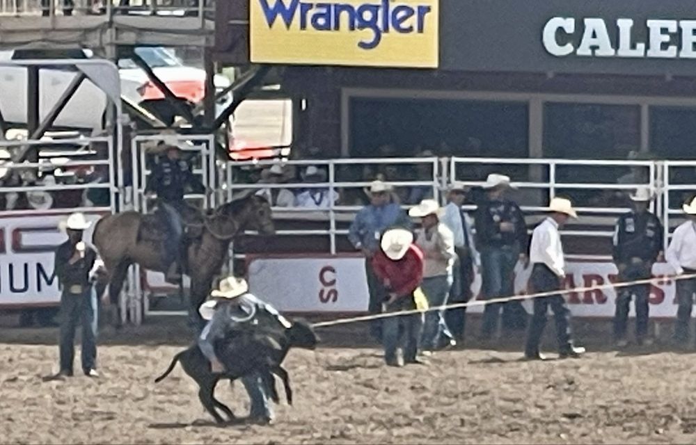 CALGARY STAMPEDE GRANDSTAND SHOW - Updated March 2025 - 16 Photos ...