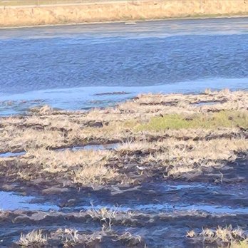 BAY POINT REGIONAL SHORELINE - Updated September 2025 - 33 Photos & 10 ...