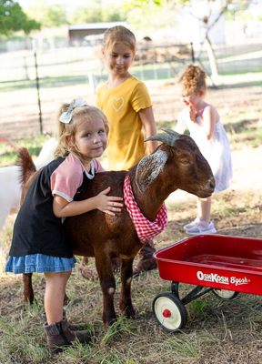 HUDDIN HOMESTEAD FUN FARM - TEMP. CLOSED - 18 Photos - 1666 FM1141 ...