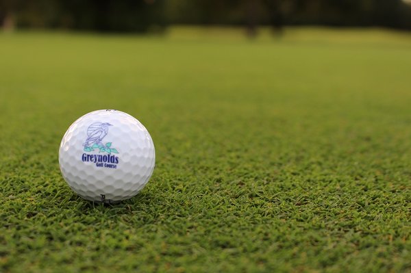 GREYNOLDS GOLF COURSE - Updated December 2025 - 11 Photos - 17530 W ...